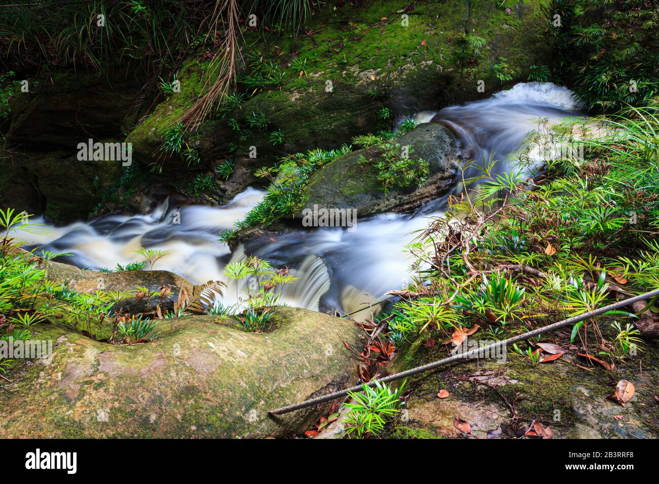 Small waterfall at the jungle of bako national park in malaysia borneo ...