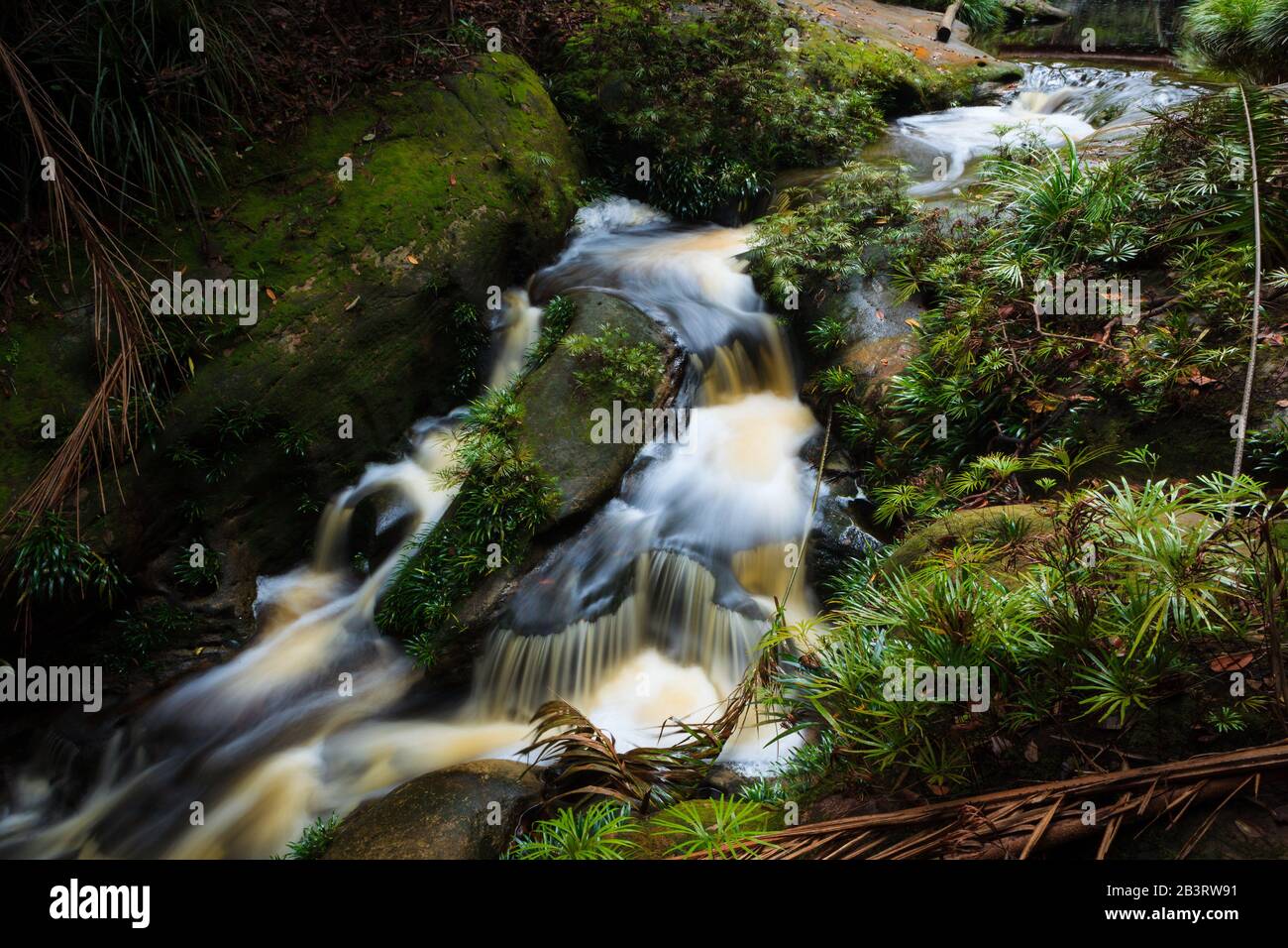 Small waterfall at the jungle of bako national park in malaysia borneo ...