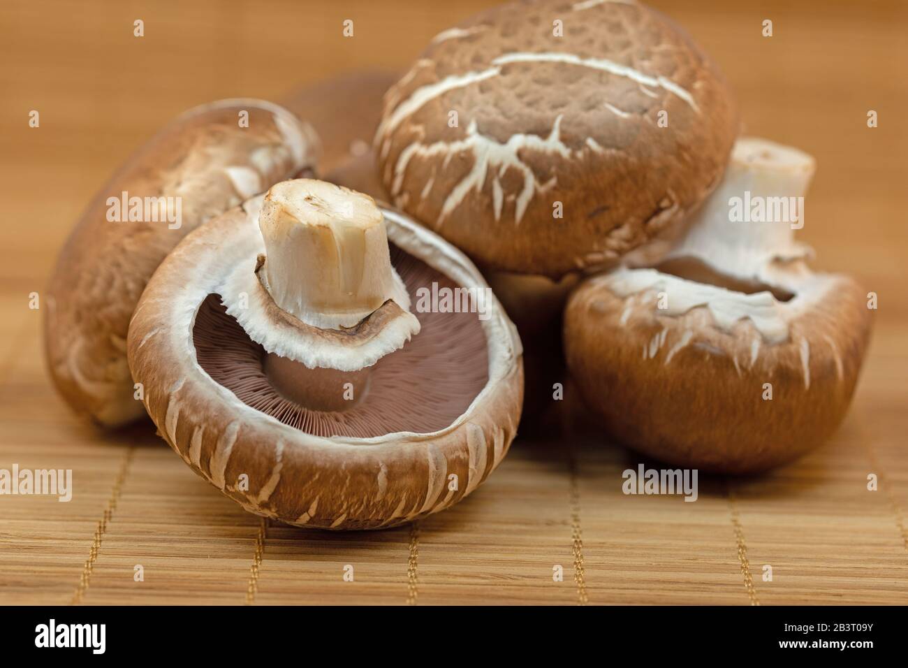 Freshly harvested brown mushrooms, champignons Stock Photo - Alamy