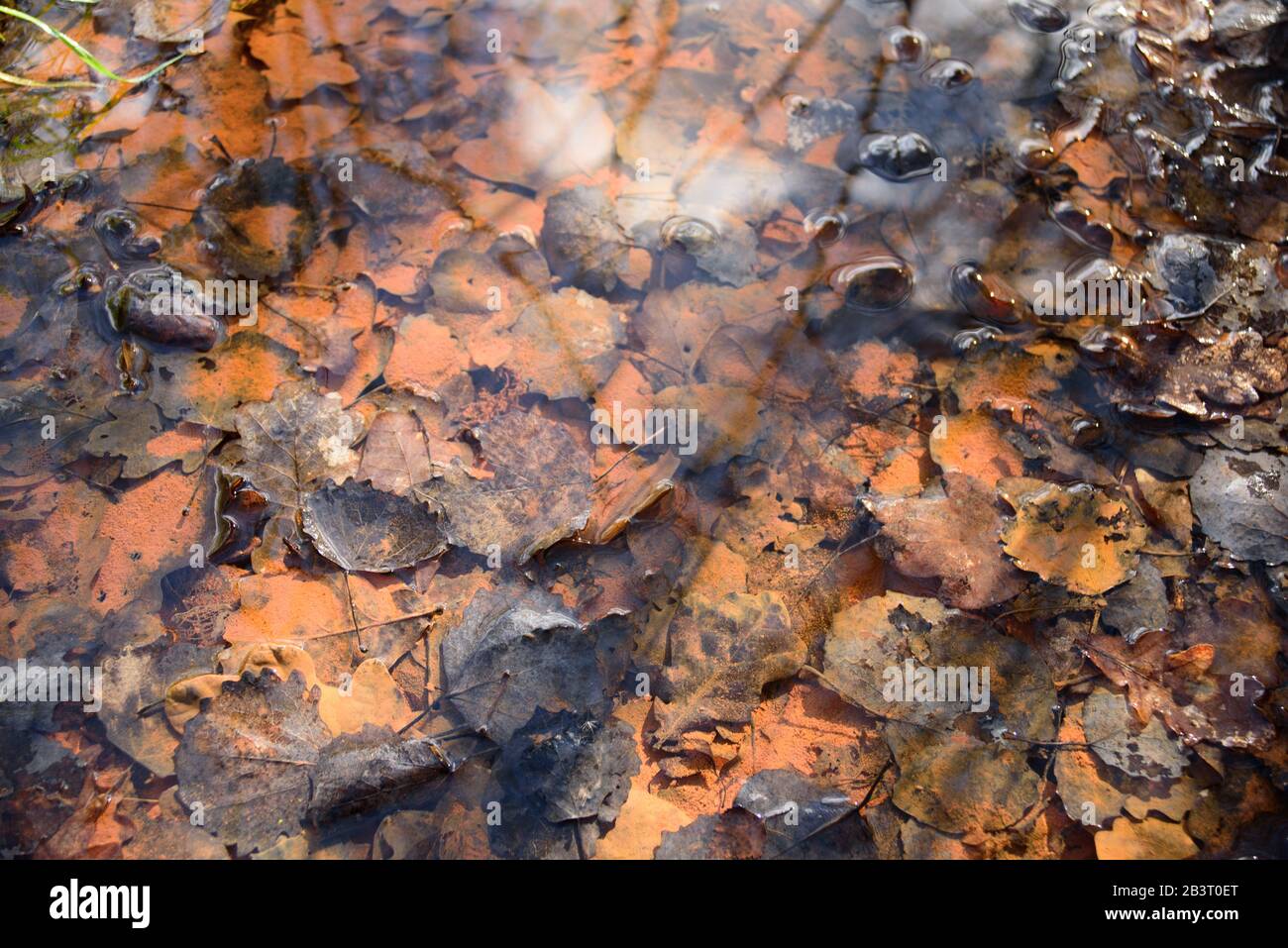 Polluted water coal mine hi-res stock photography and images - Alamy