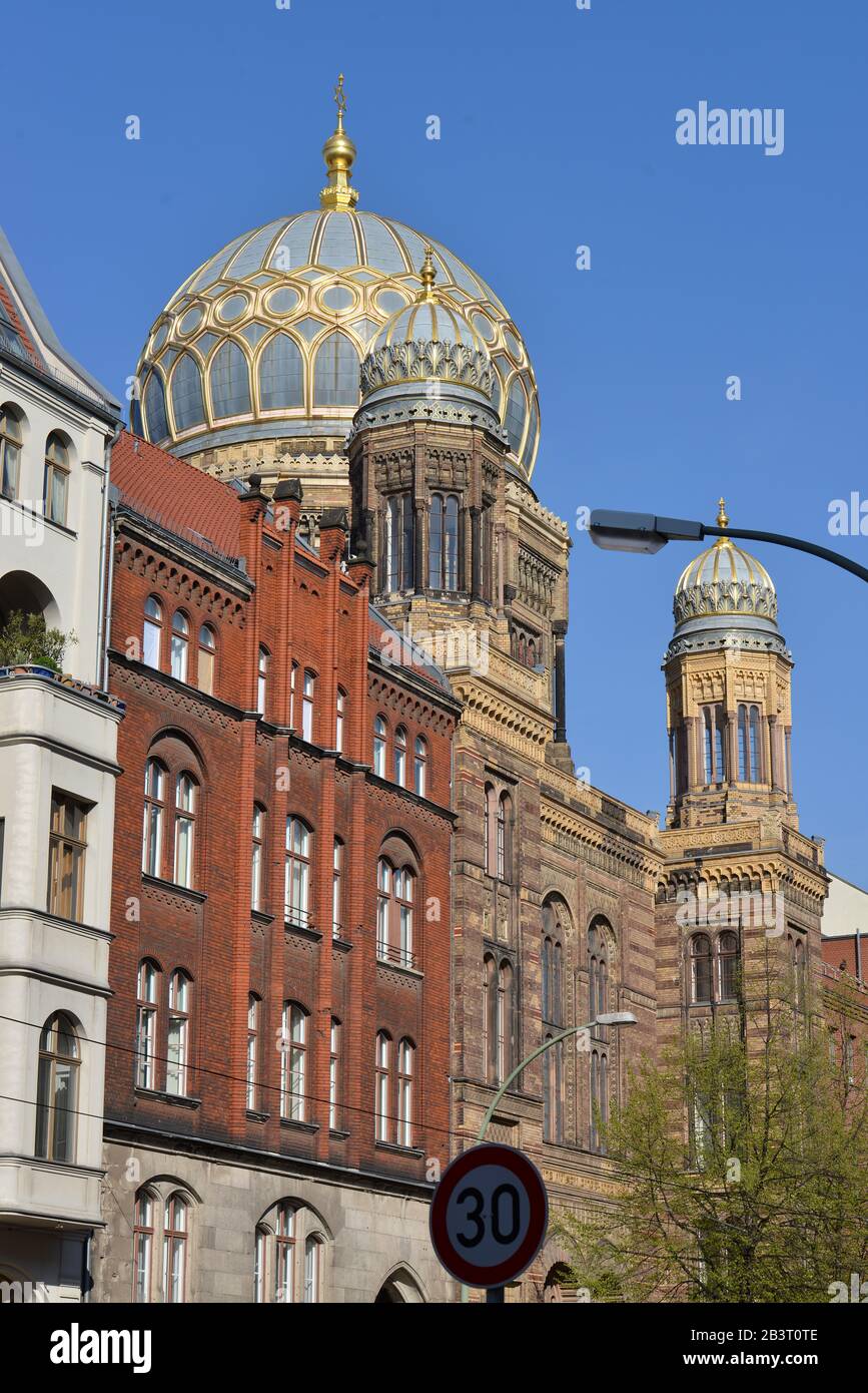 Synagoge, Oranienburger Strasse, Mitte, Berlin, Deutschland Stock Photo ...