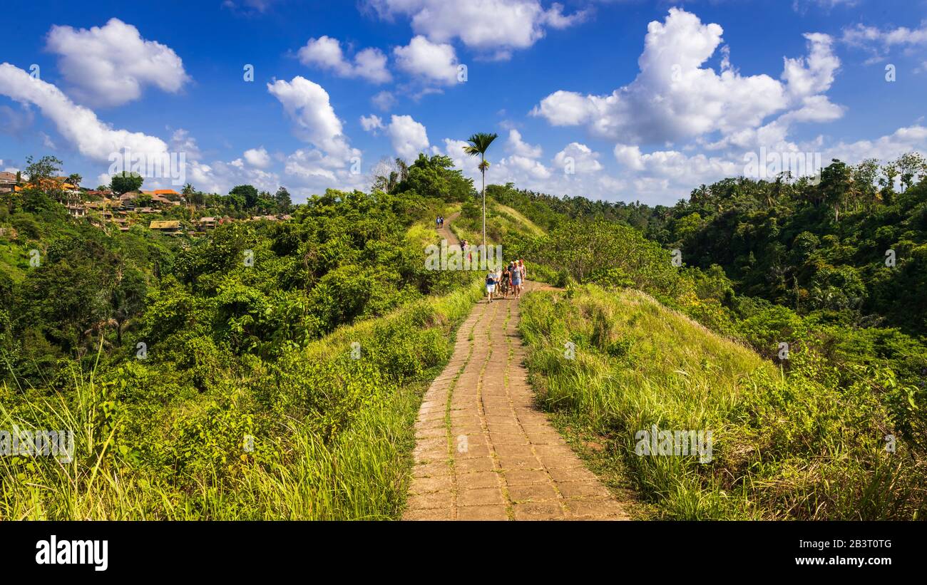 The Campuhan Ridge Walk, Ubud, Bali, Indonesia Stock Photo - Alamy