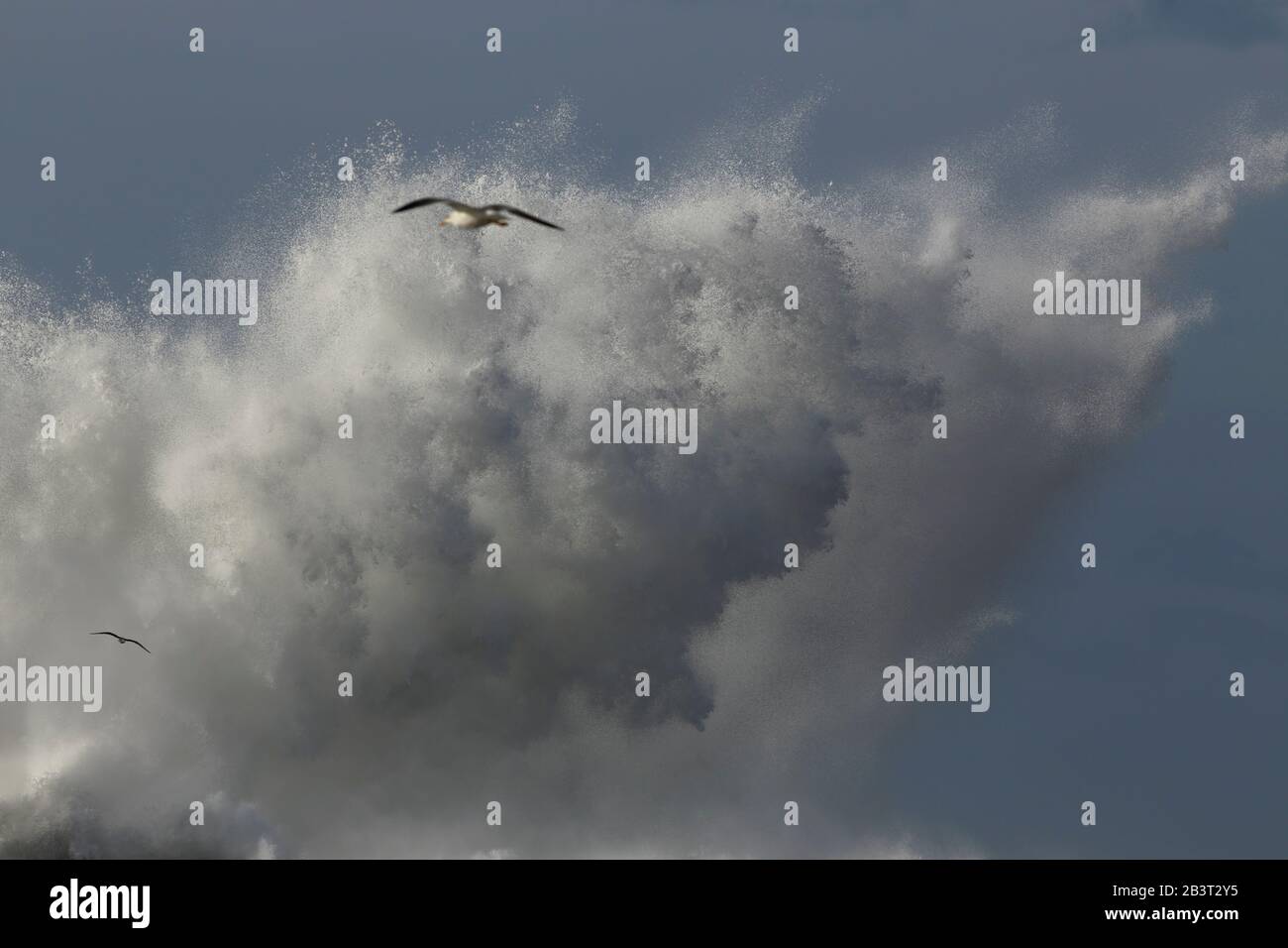 Big ocean stormy wave splash closeup Stock Photo - Alamy