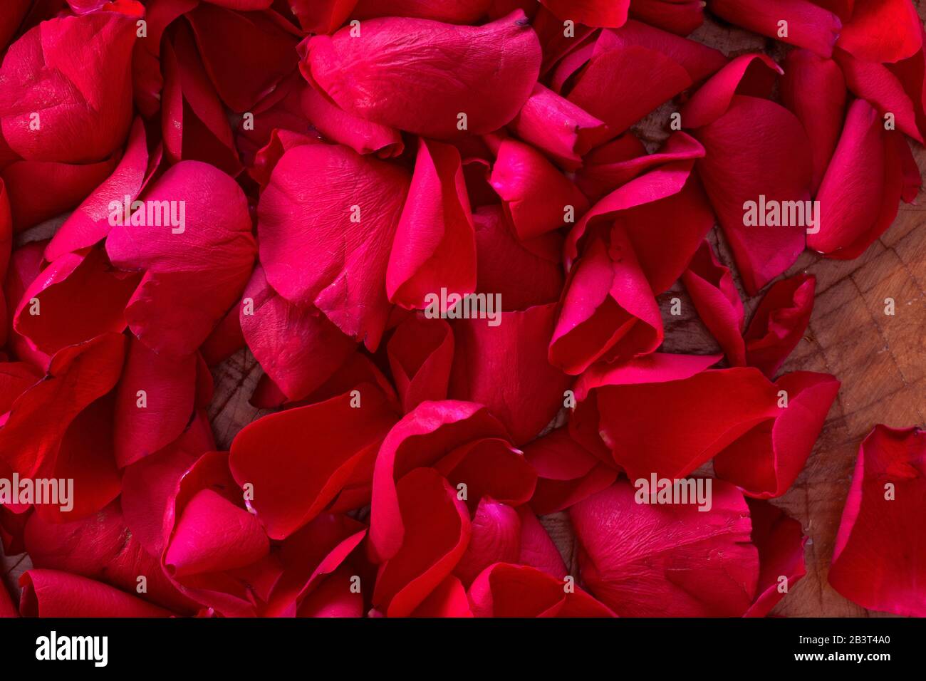 Pile of red rose petals background texture, romantic nature concept ...
