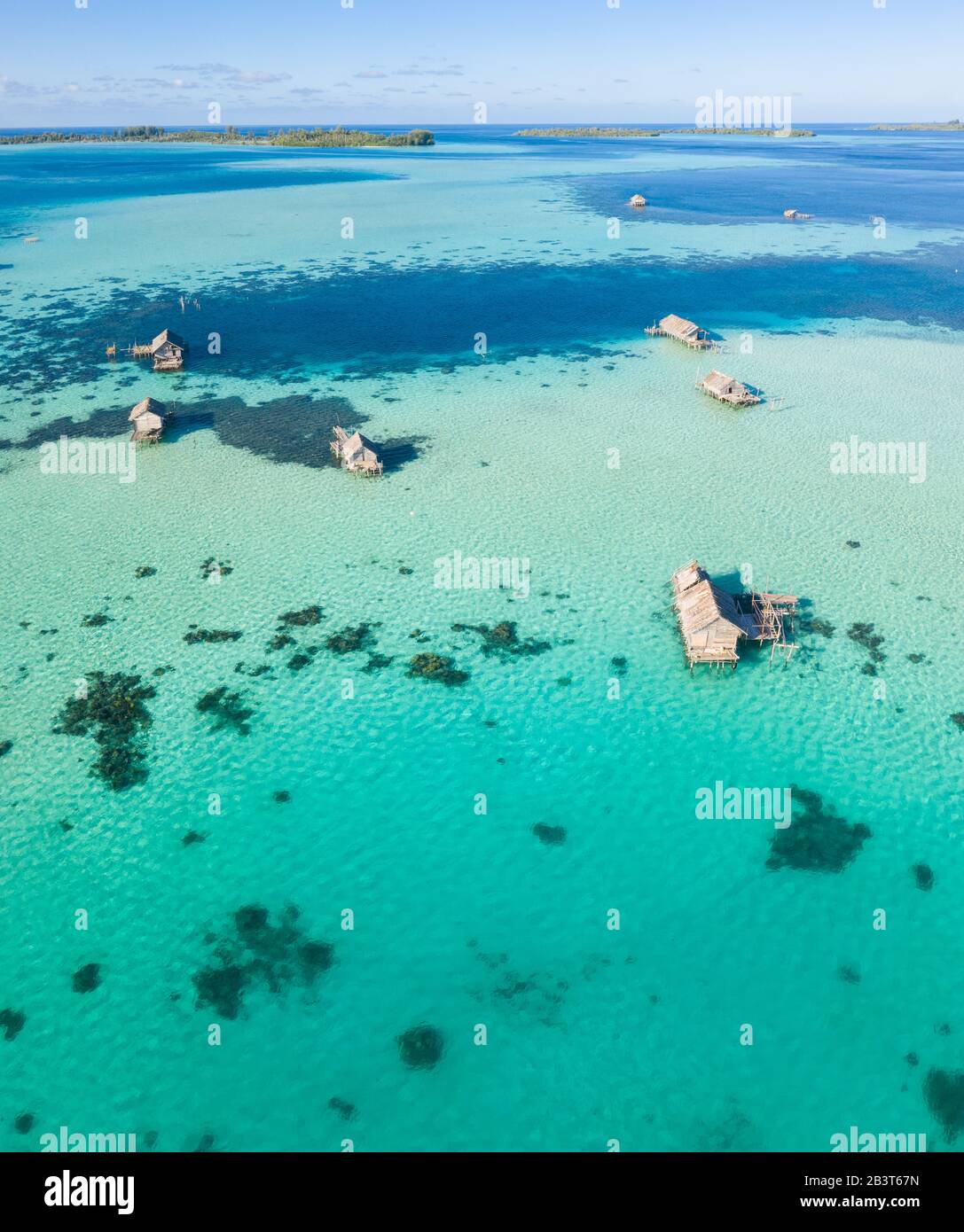 Rainforest fish eye hi-res stock photography and images - Alamy