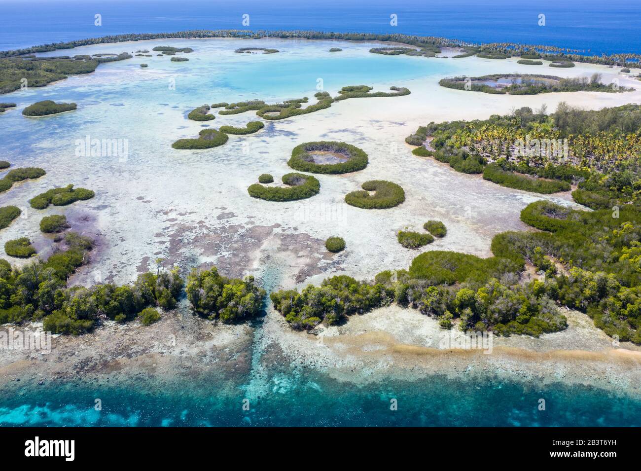Rings of mangrove trees grow inside a remote island lagoon in the ...