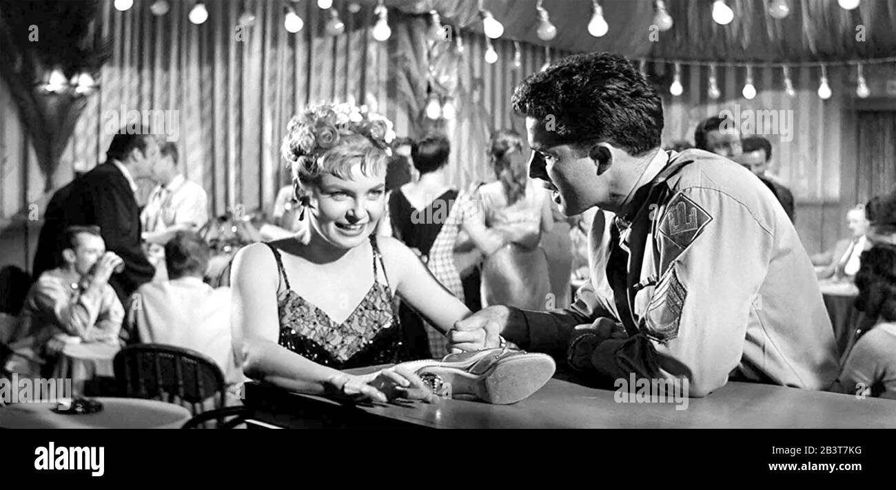 Vince Edwards Married