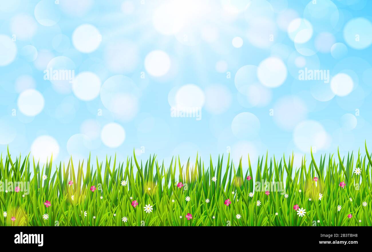 Spring or summer nature background with green grass and flowers. Vector ...