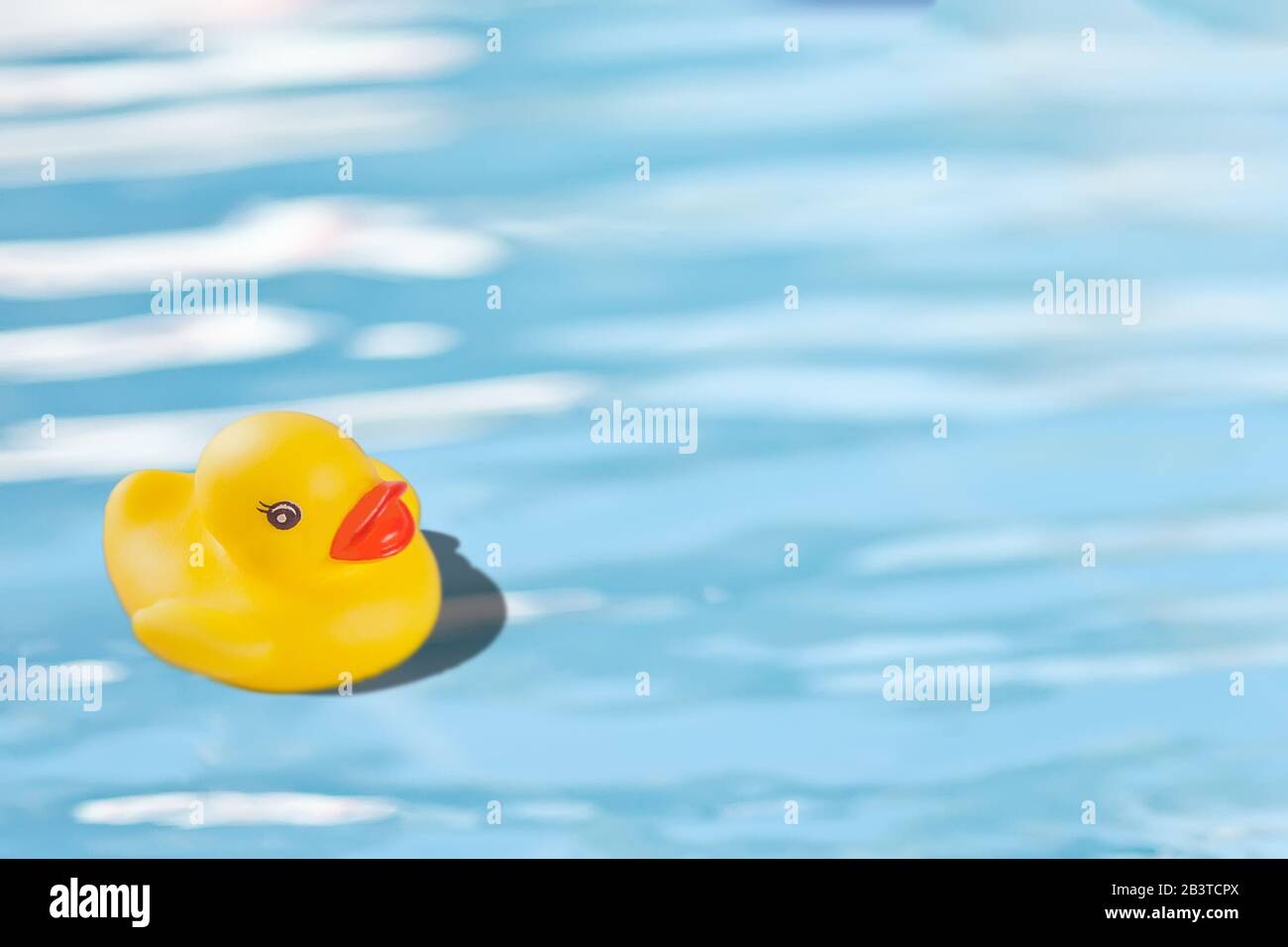 Rubber duck floating in bubble bath hi-res stock photography and images ...