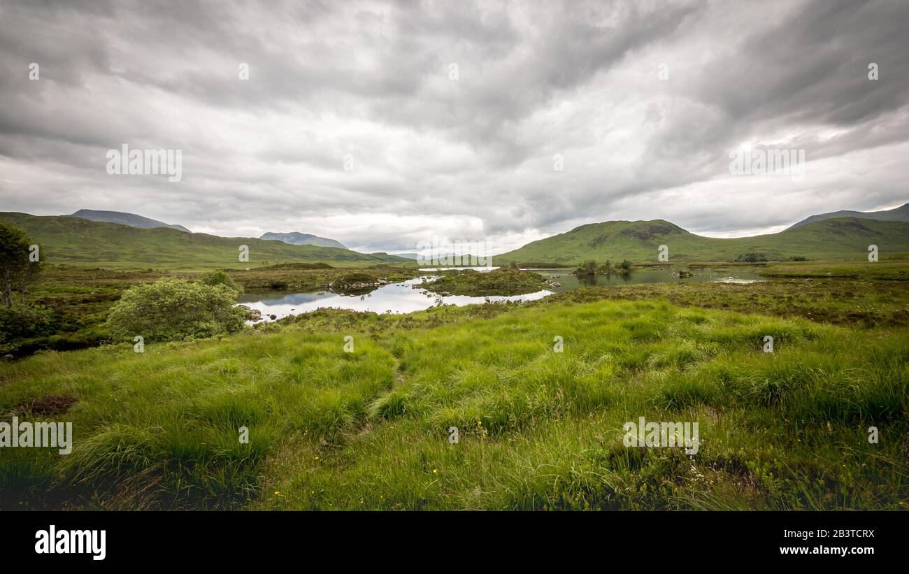 Scottish highlands heather hi-res stock photography and images - Alamy