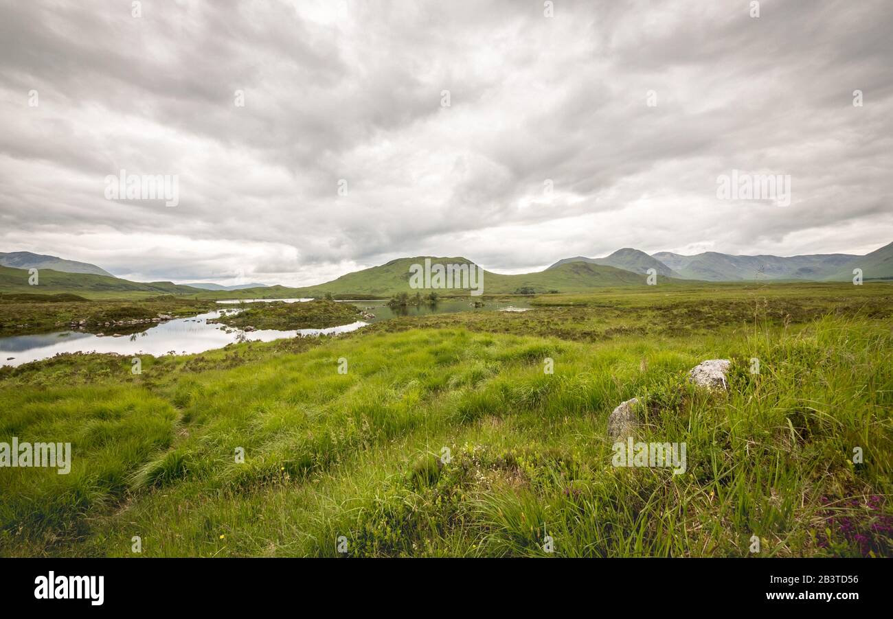 The Trossachs, Scottish Highlands. The marshy lands of the heather ...