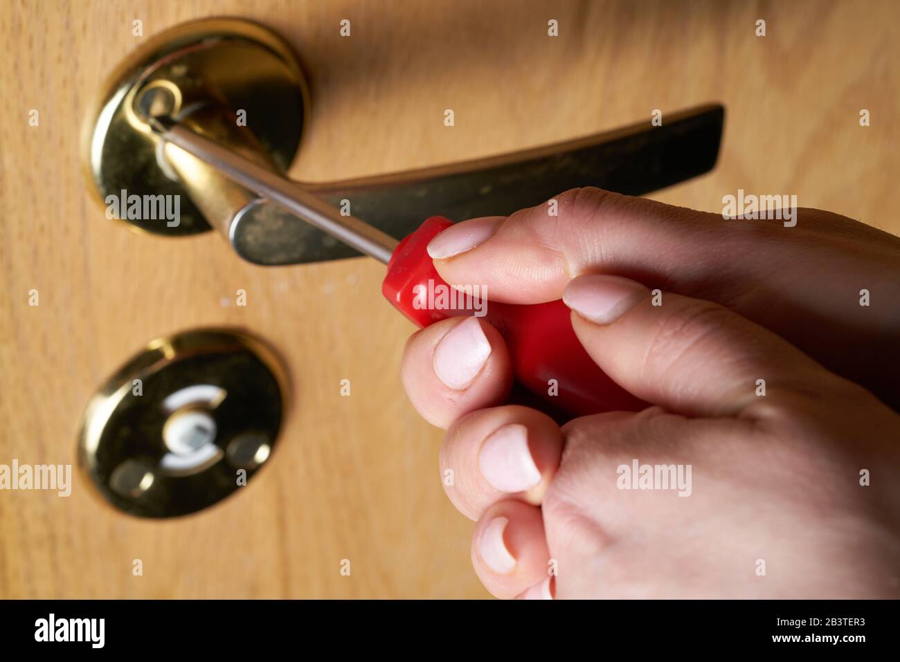 Photo of female hands, with screwdriver, tightening door hinge Stock ...