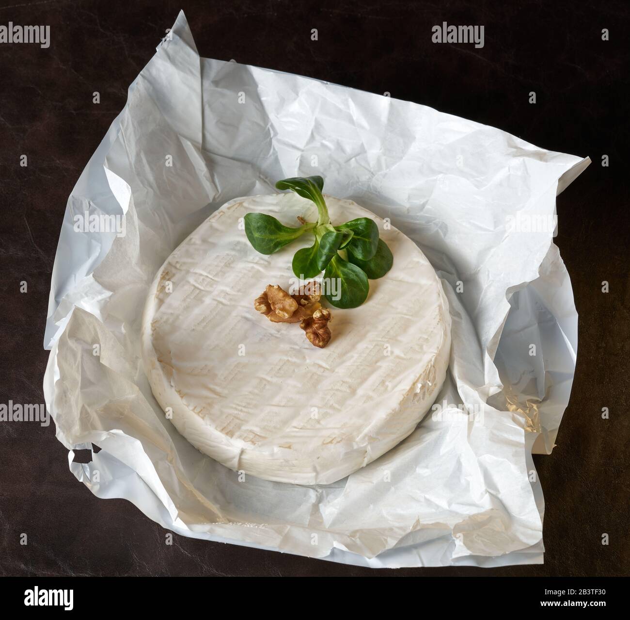 brie cheese in front of white background Stock Photo - Alamy
