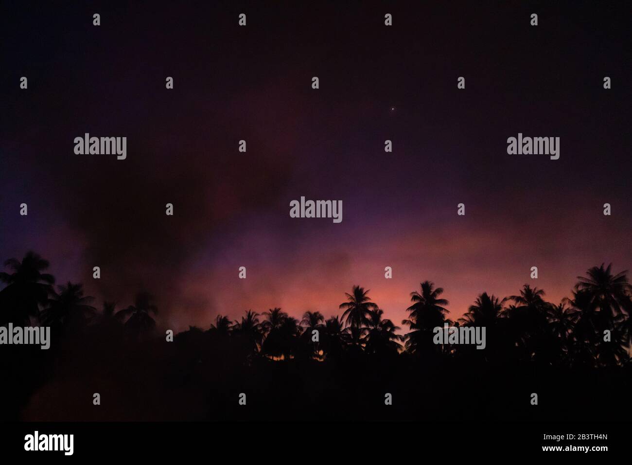 Smoke from a bonfire in a rainforest at sunset. Fires in the forest ...