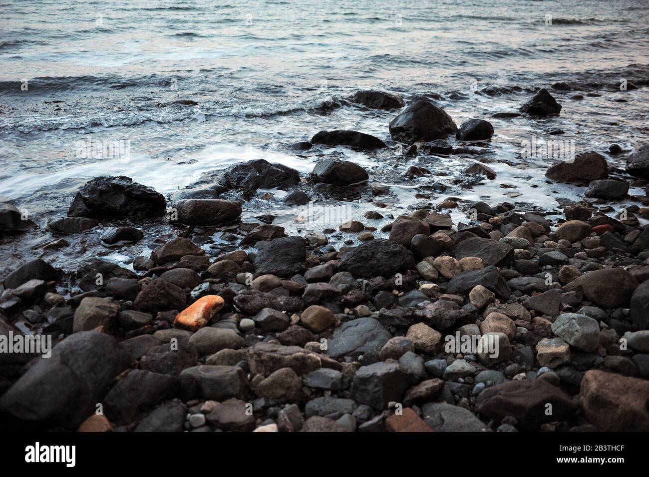 Wet rocks and pebbles on the beach at sunset. Foam and ripples from the ...