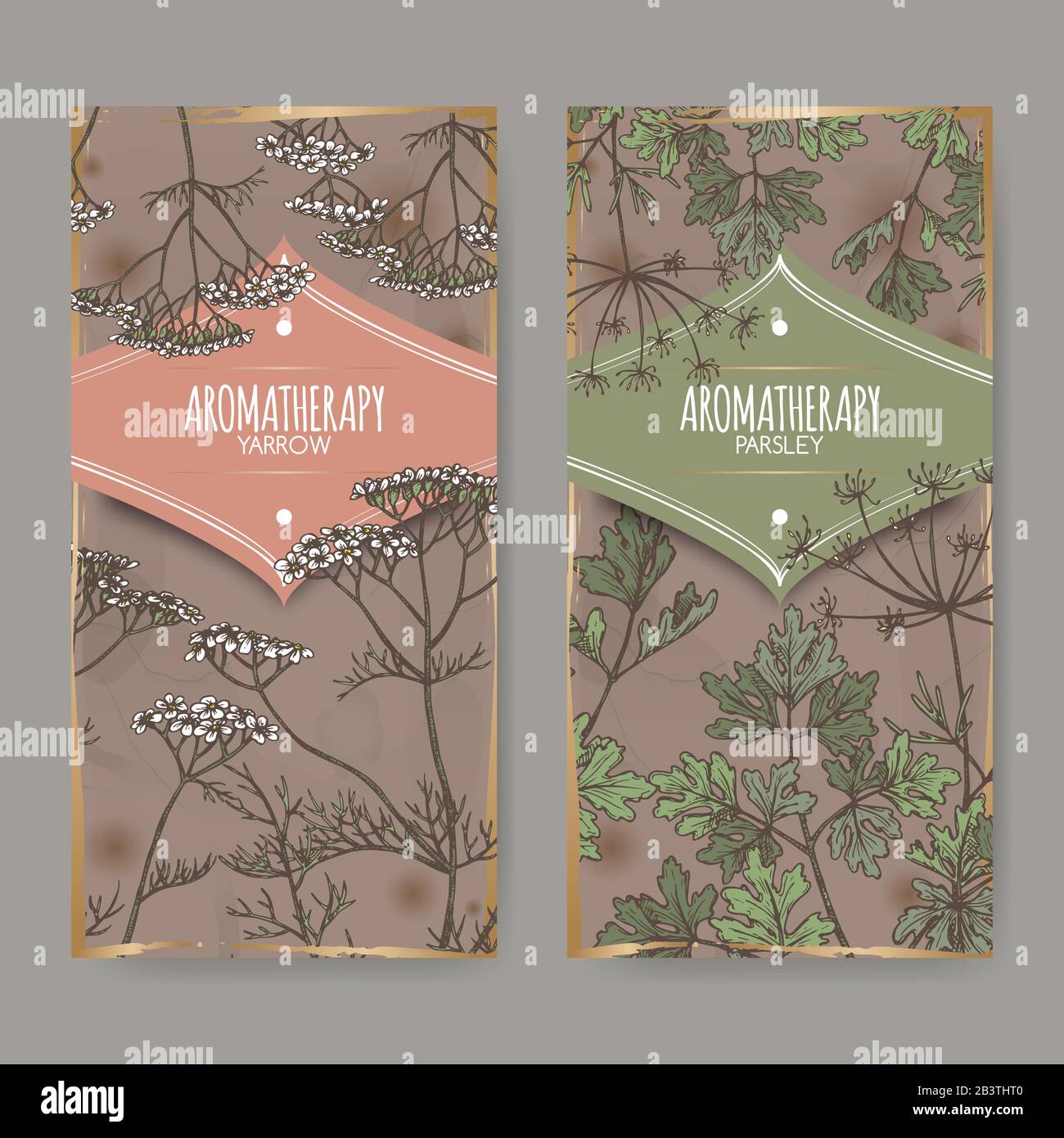 Two color labels with Yarrow aka Achillea millefolium and Parsley aka ...
