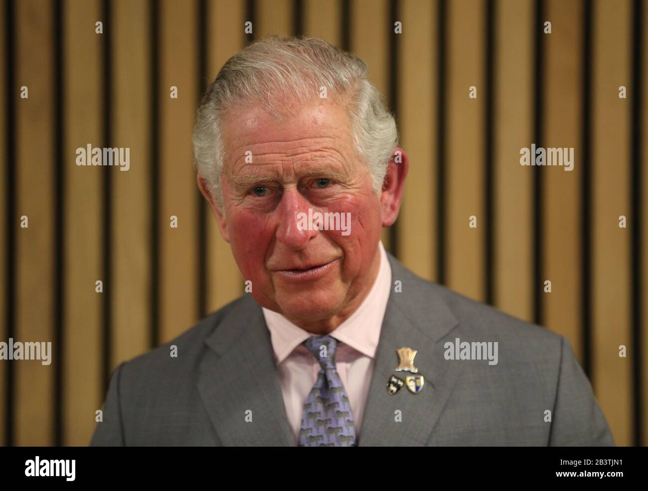 The Prince of Wales gives a speech during a visit to Kellogg College in ...