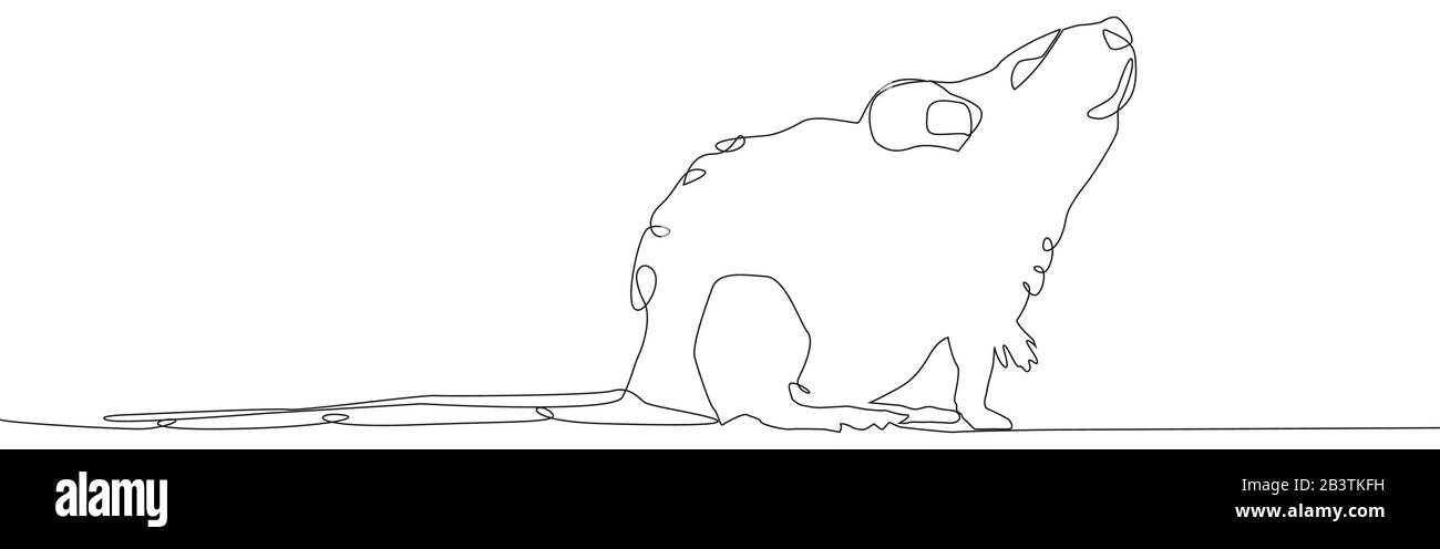Rat mouse continuous line drawing. One hand drawn single lineart style ...