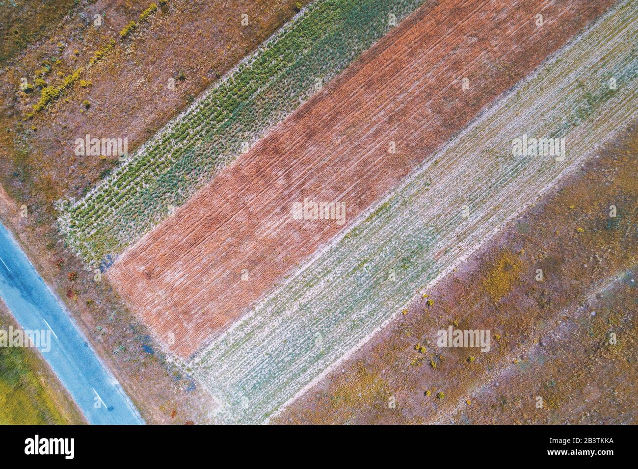 Geometric and nature hi-res stock photography and images - Alamy