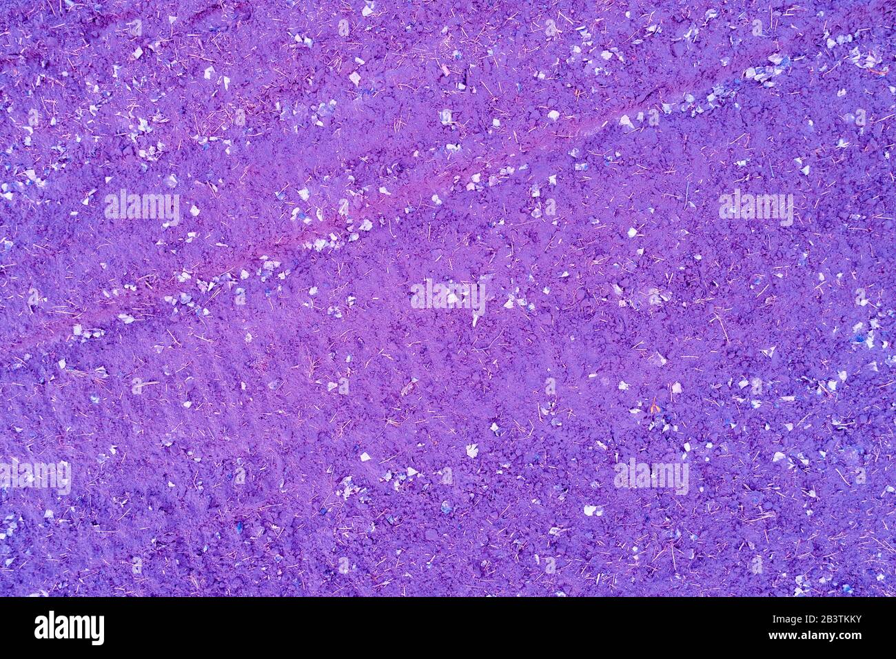 Soil texture background. Plowed field in early spring. Purple land ...