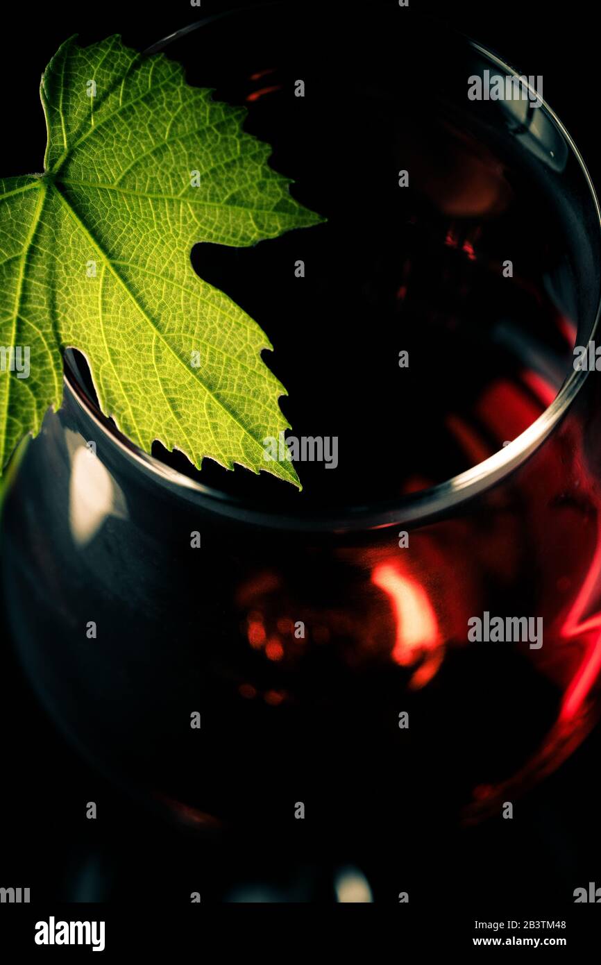 Vine shoot hi-res stock photography and images - Alamy