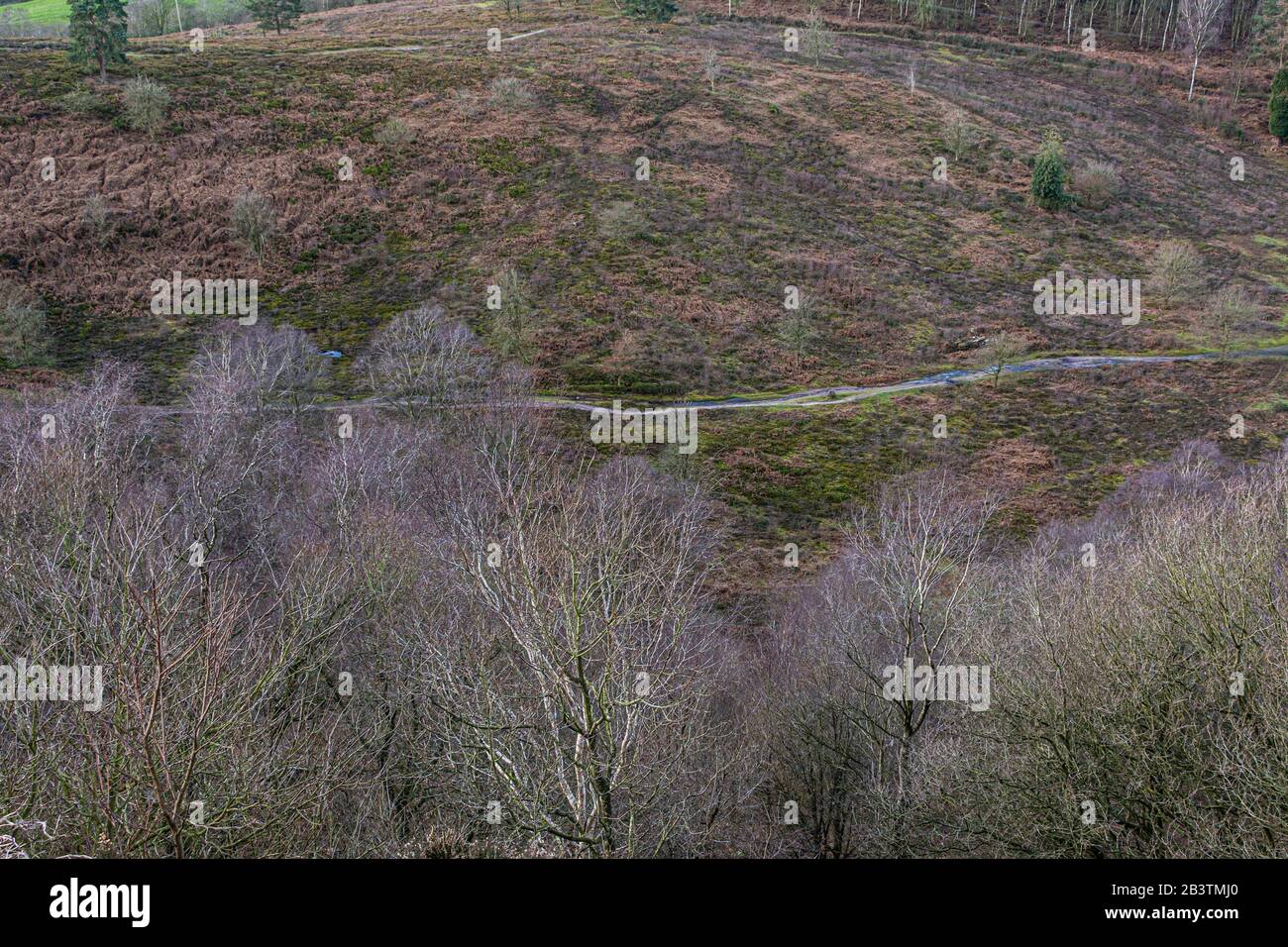 Bickerton hills cheshire hi-res stock photography and images - Alamy