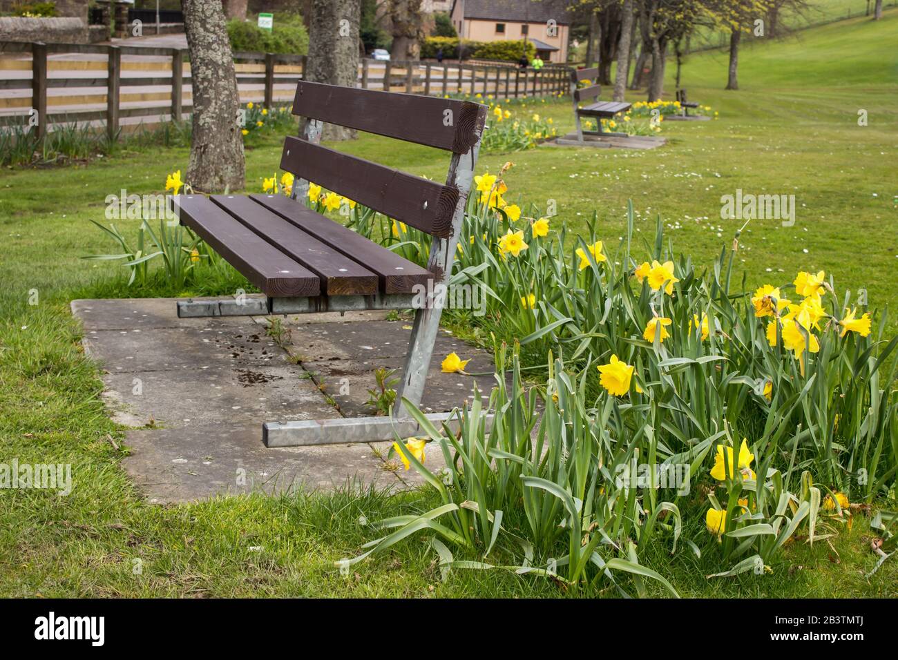 Bench surrounded flowers hi-res stock photography and images - Alamy