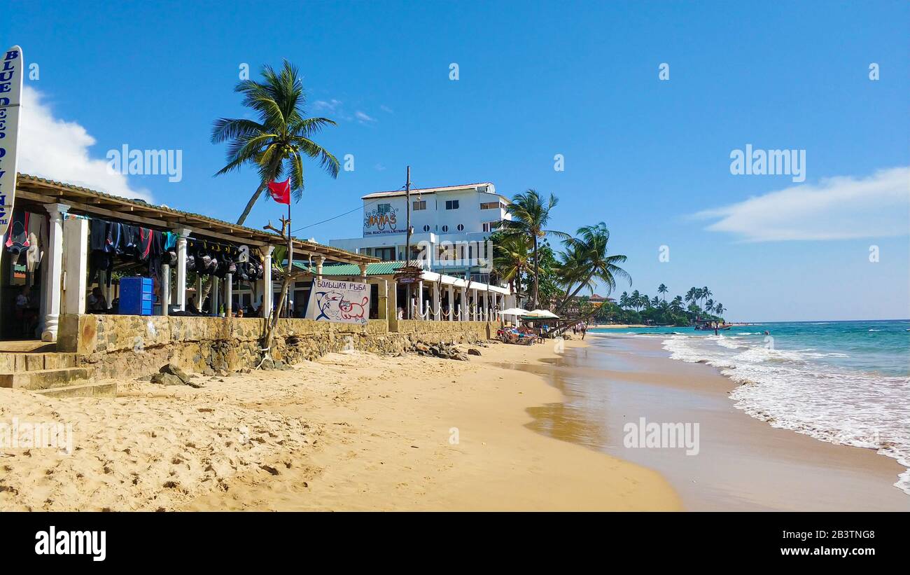 Sandy coast of the ocean. Paradise tropical island beach. Palm trees ...