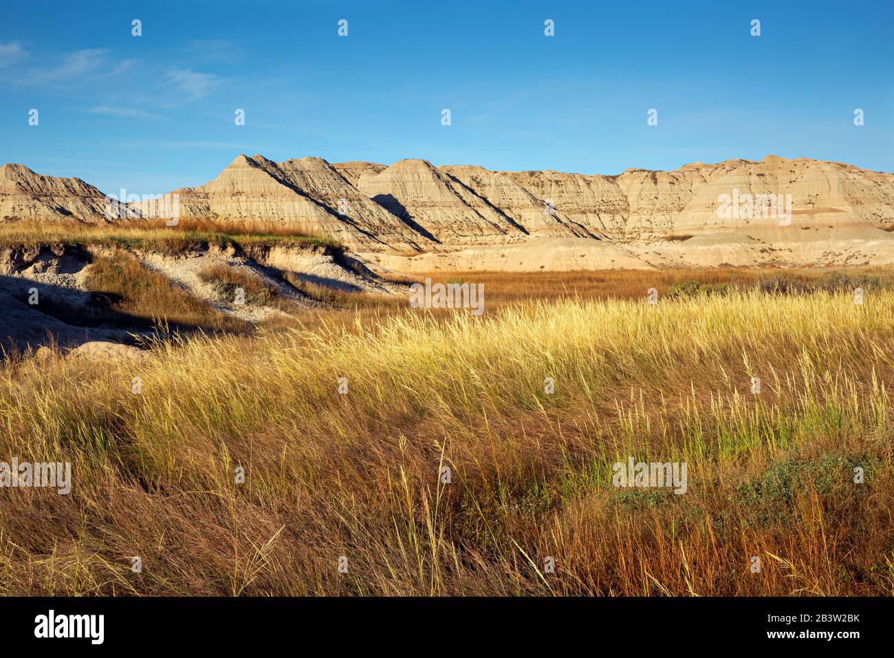 SD00279-00...SOUTH DAKOTA - Large meadow and access to the Badlands ...
