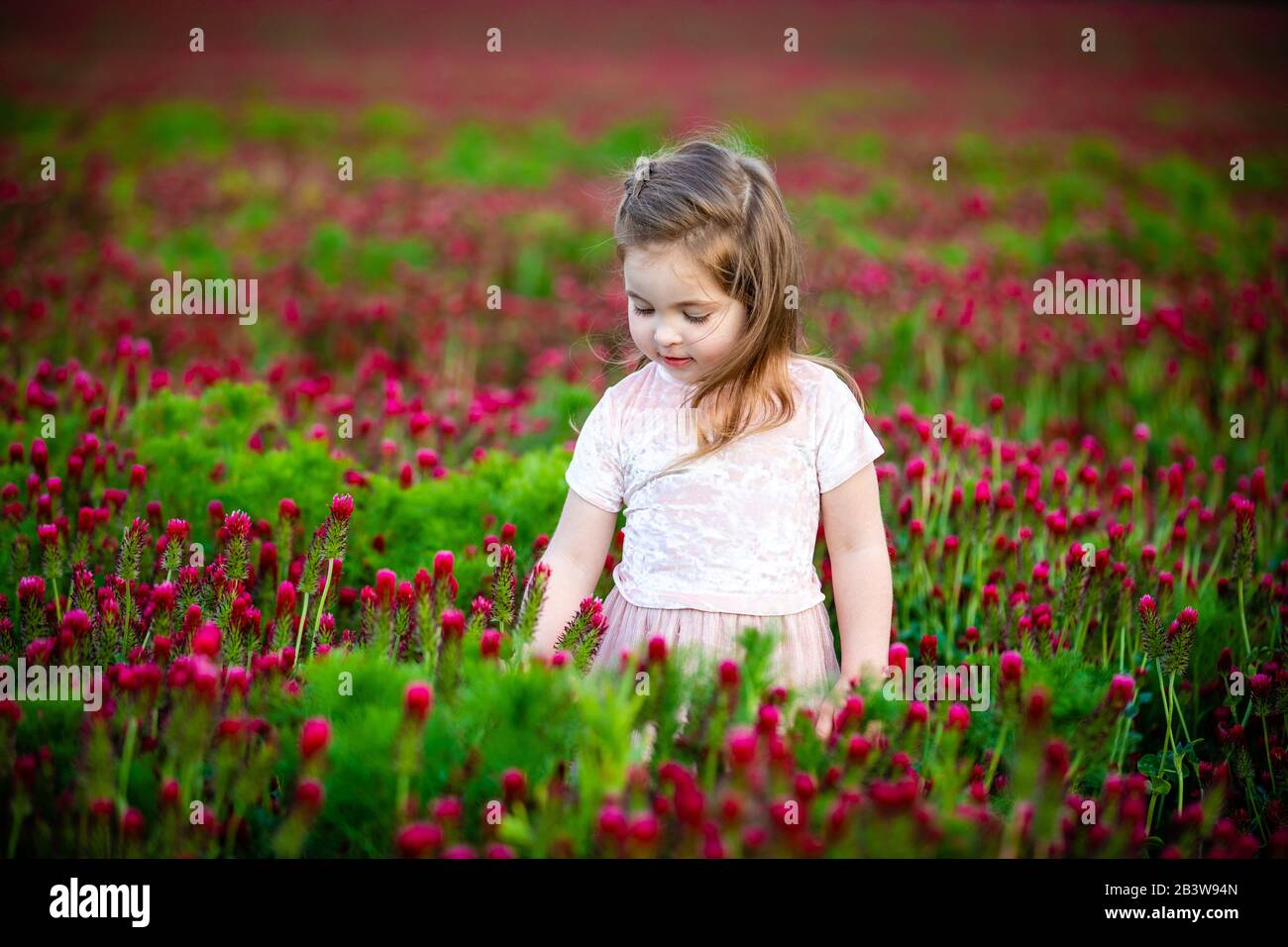 Child model in field hi-res stock photography and images - Alamy