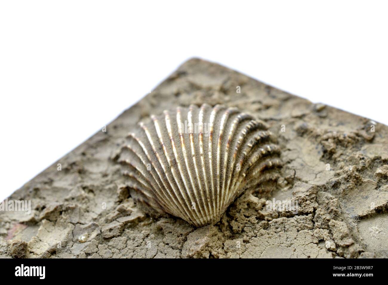 Grunge Album Cover Design High Resolution Stock Photography and Images ...