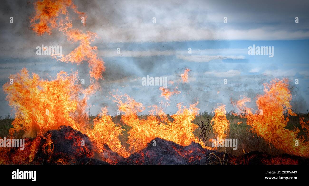 Burning straw stubble farmers when the harvest is complete Stock Photo ...