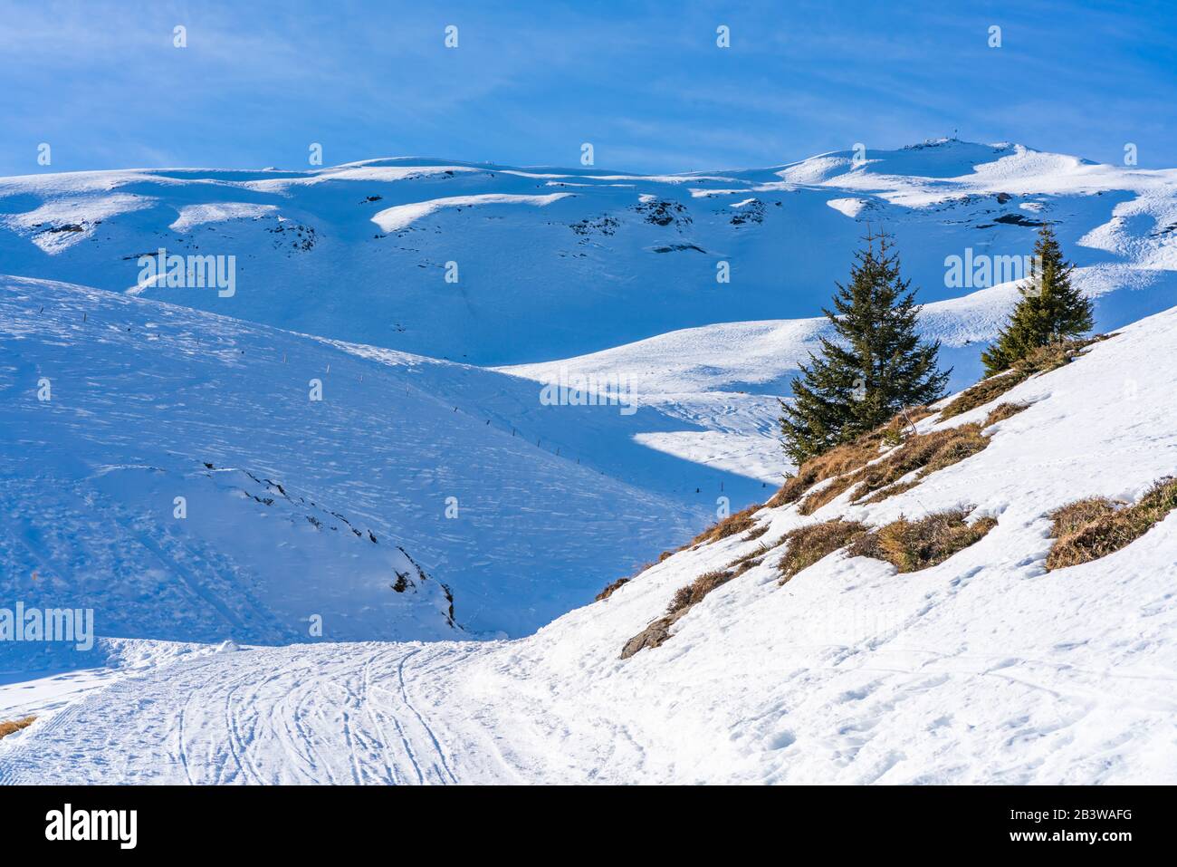 Winter landscape with snow Swiss Alps from Mannlichen mountain in ...