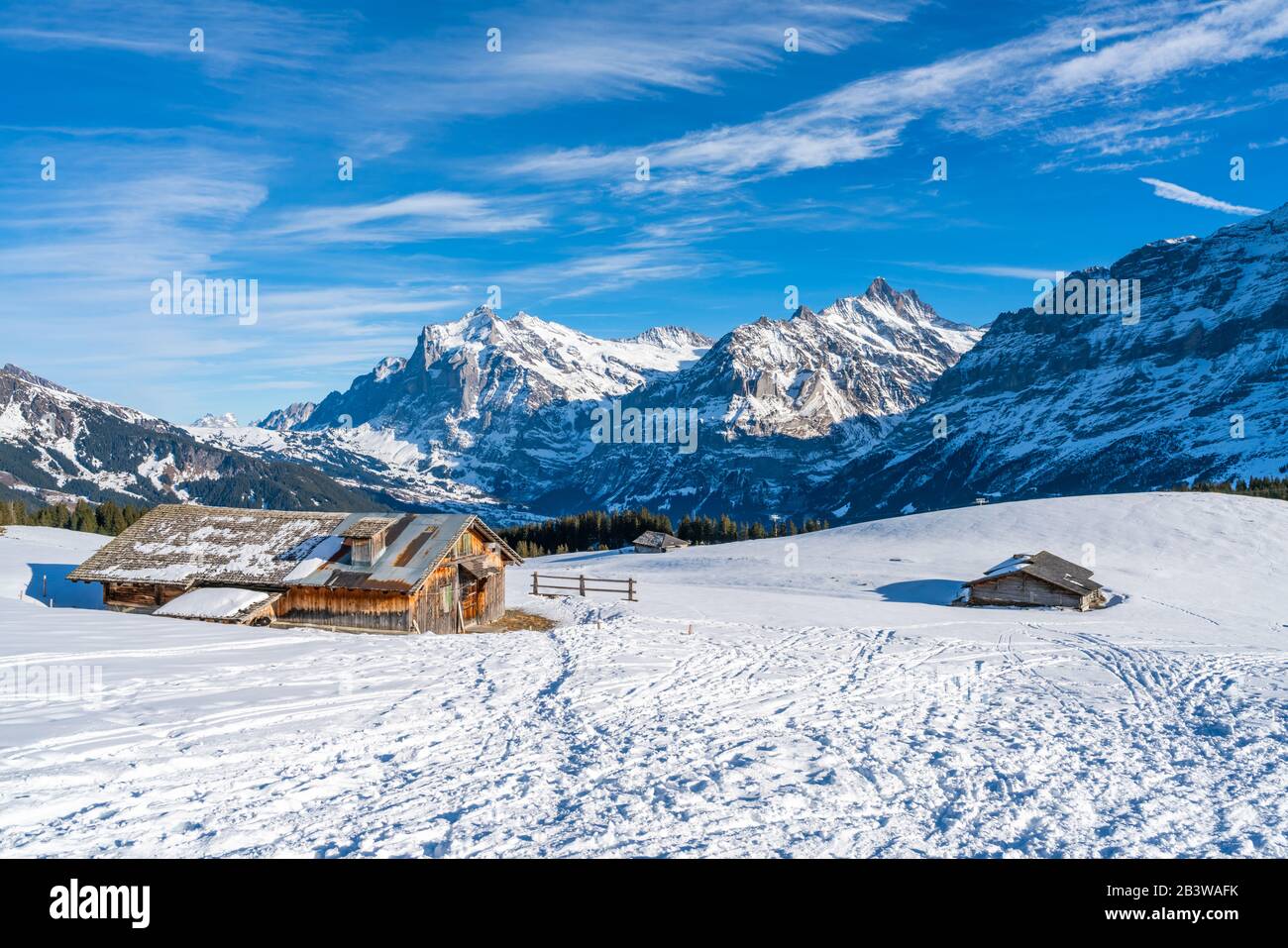 Winter landscape with snow Swiss Alps from Mannlichen mountain in ...