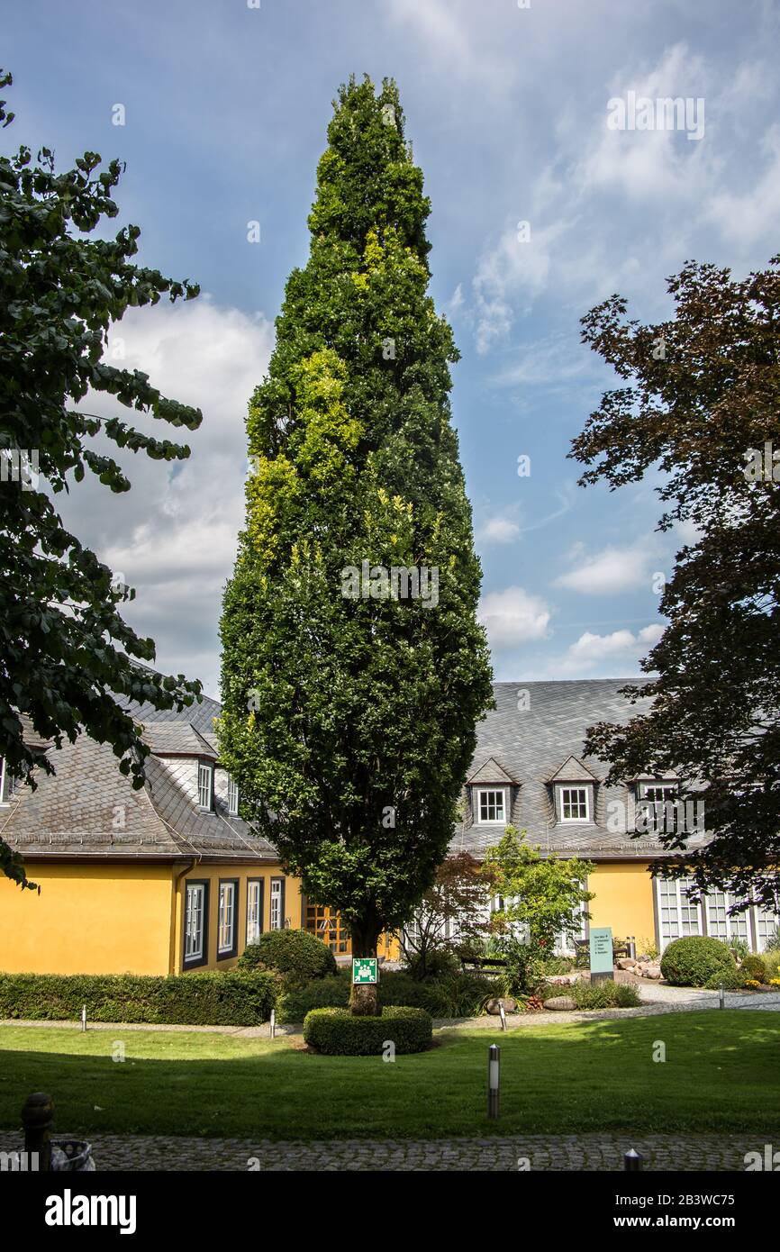 Schloss montabaur hi-res stock photography and images - Alamy