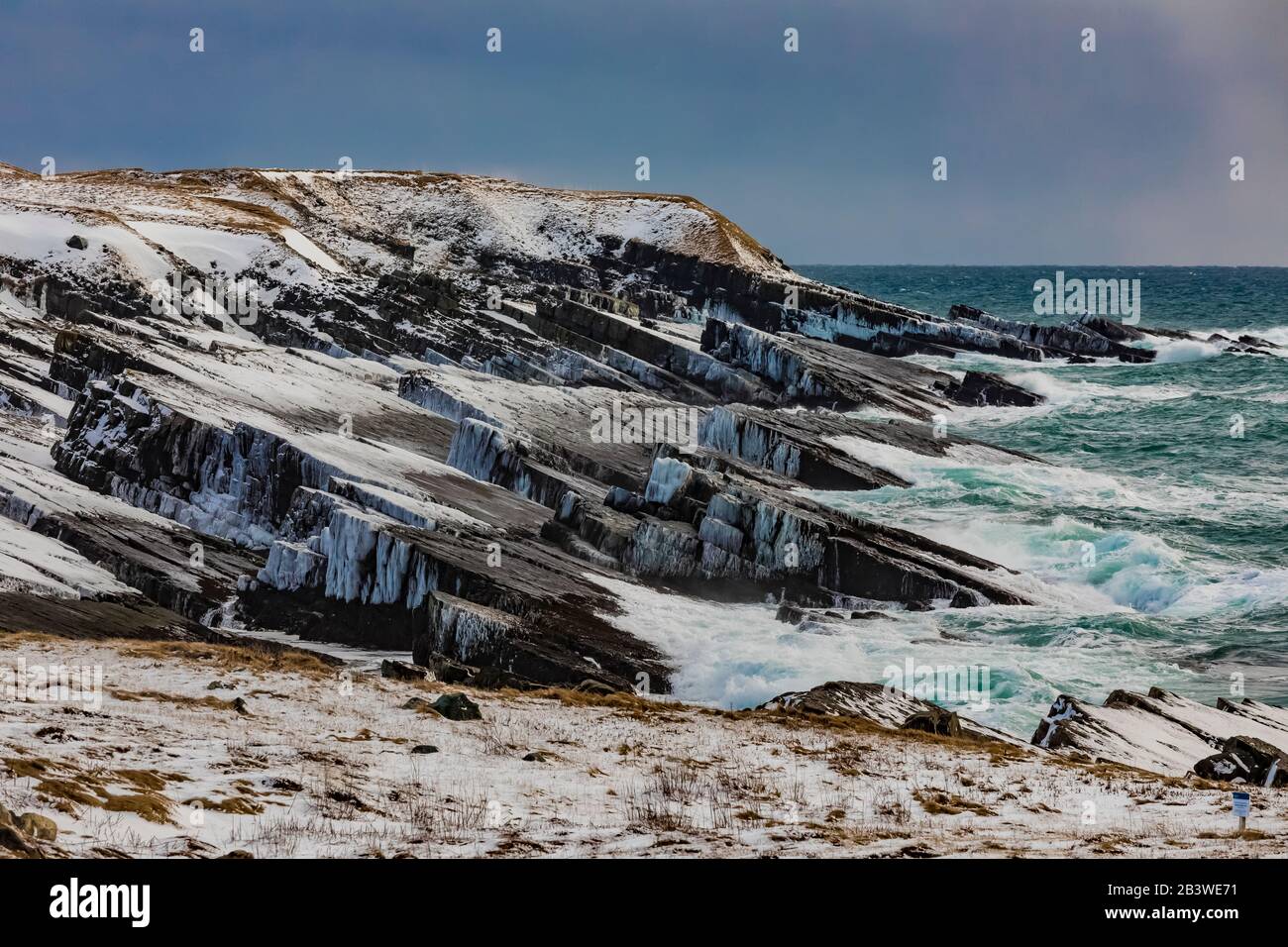 Mistaken Point Ecological Reserve on the Avalon Peninsula, one of the ...