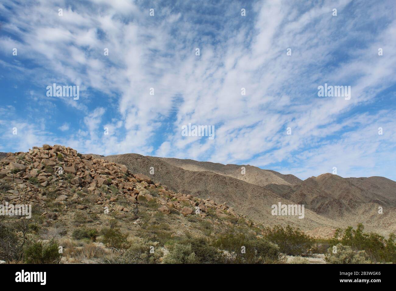 Winters end to Springs beginning transforms the Southern Mojave Desert ...