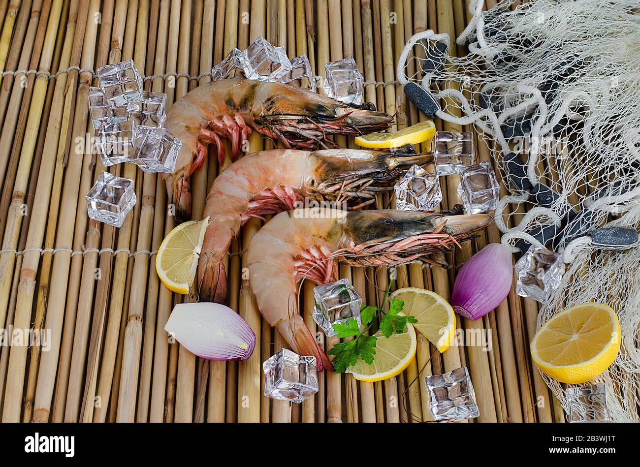 Fresh Shrimps out from the fisherman net Stock Photo - Alamy