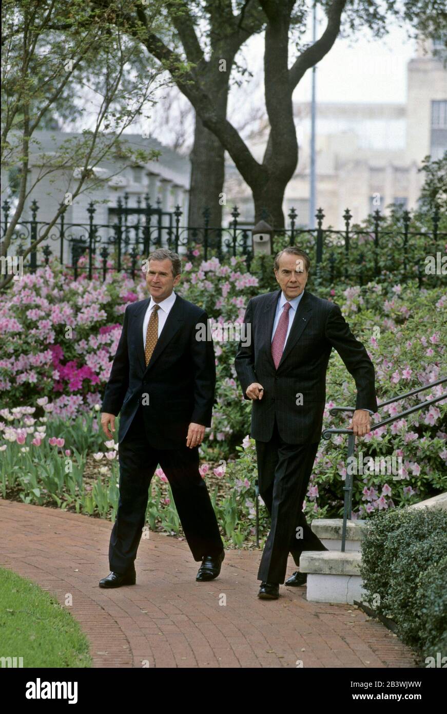 Presidential Candidate Bob Dole 1996 High Resolution Stock Photography ...
