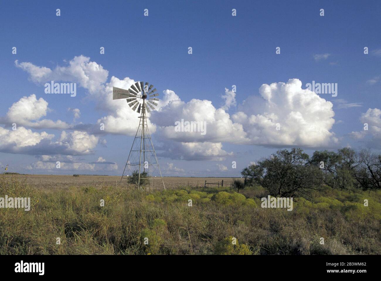 Bob dorado hi-res stock photography and images - Alamy