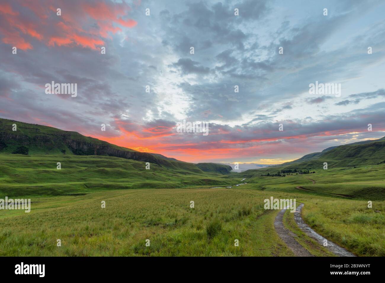 Lotheni hi-res stock photography and images - Alamy