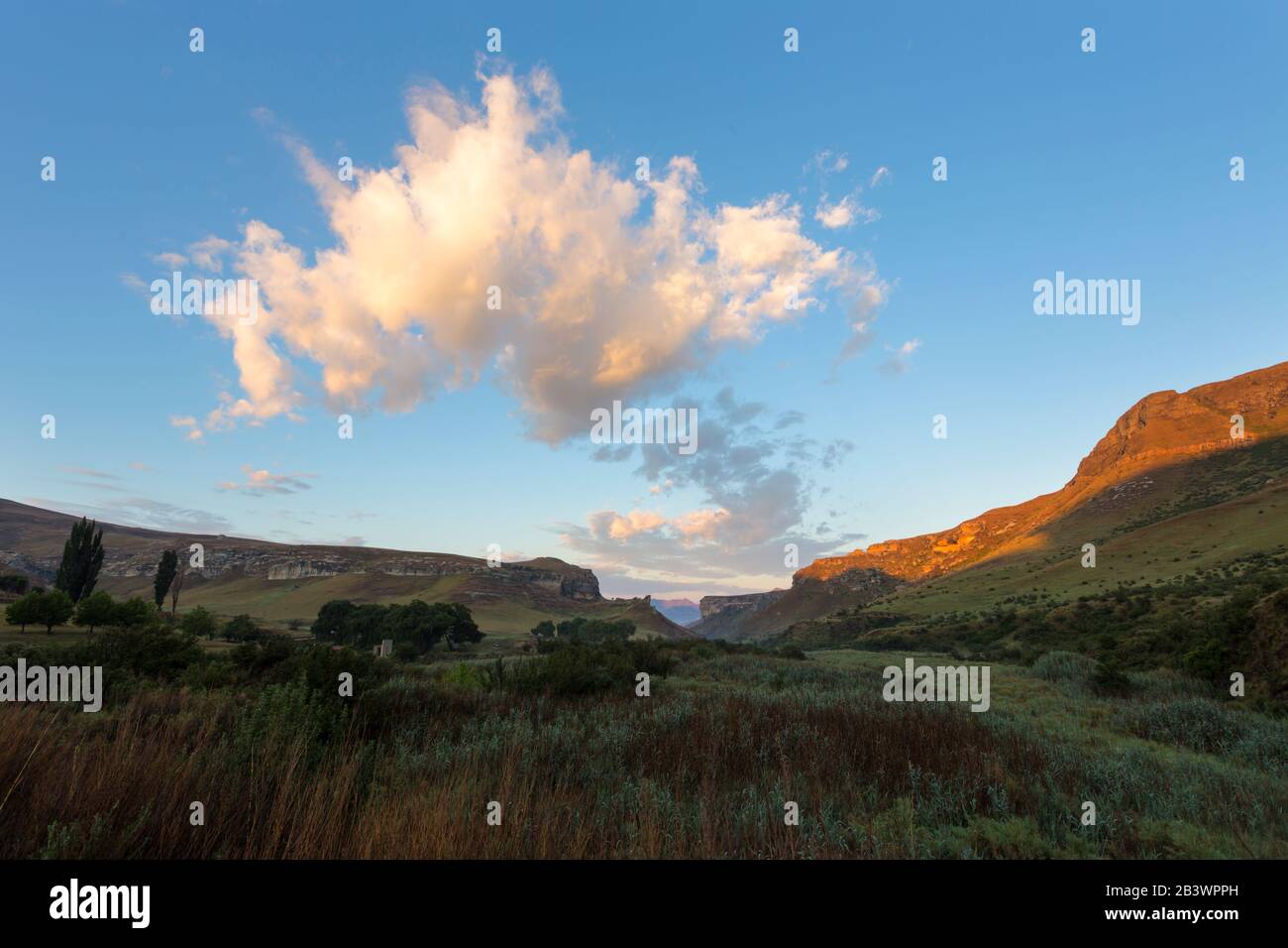 Early morning clouds Stock Photo - Alamy