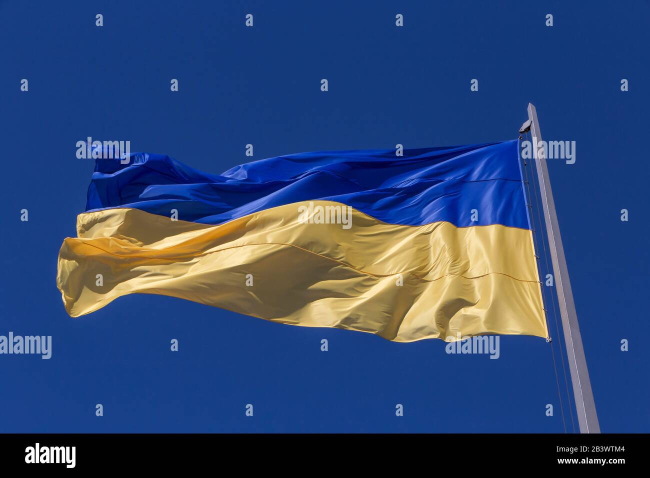 close up of official flag of Ukraine on flagpole Stock Photo - Alamy