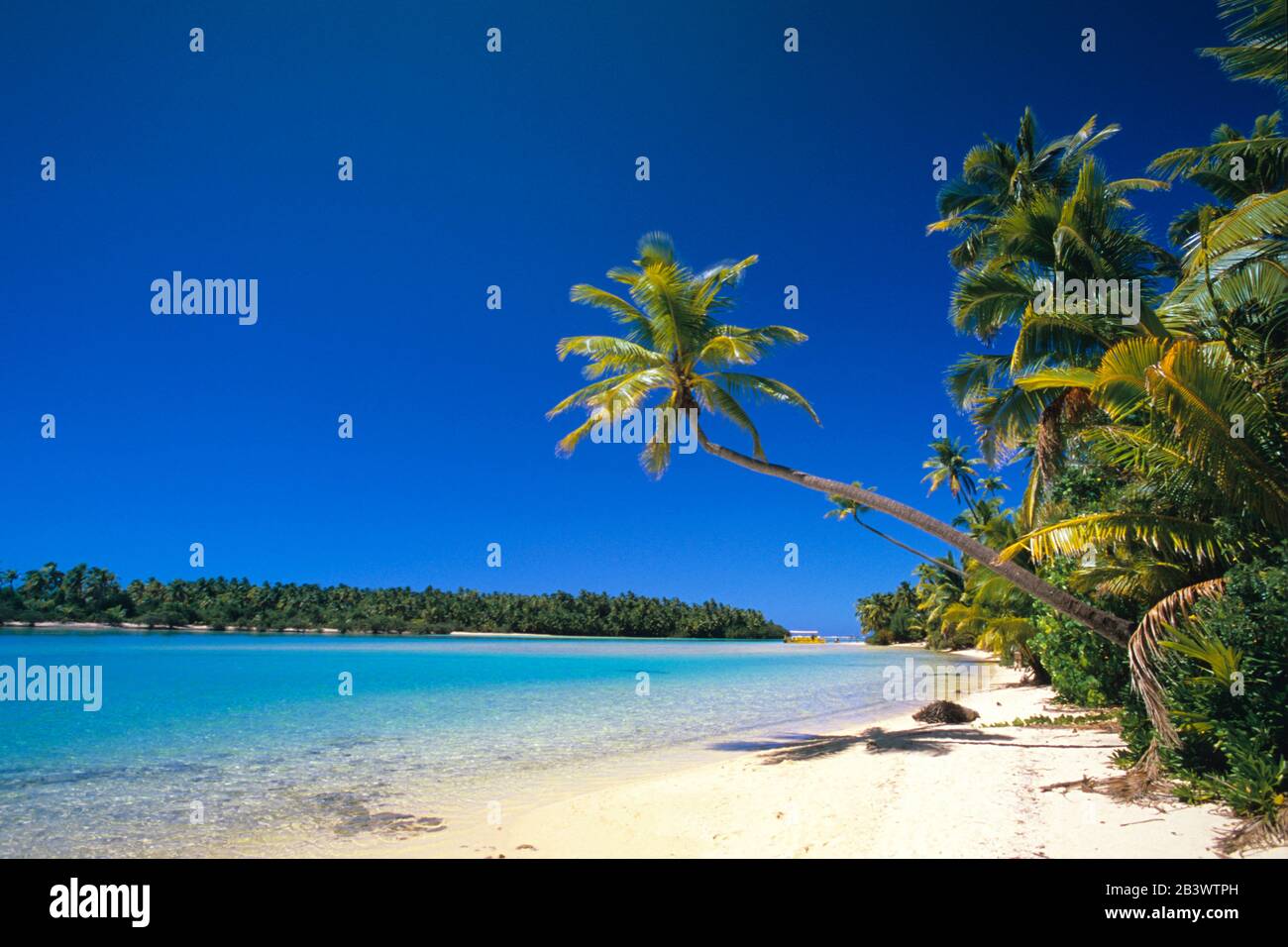 Cook Islands, Traumstrand, Palmenstrand, Aitutaki Stock Photo - Alamy