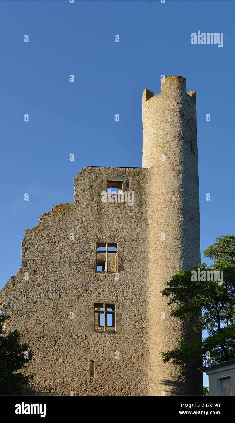 Schwarm hi-res stock photography and images - Alamy