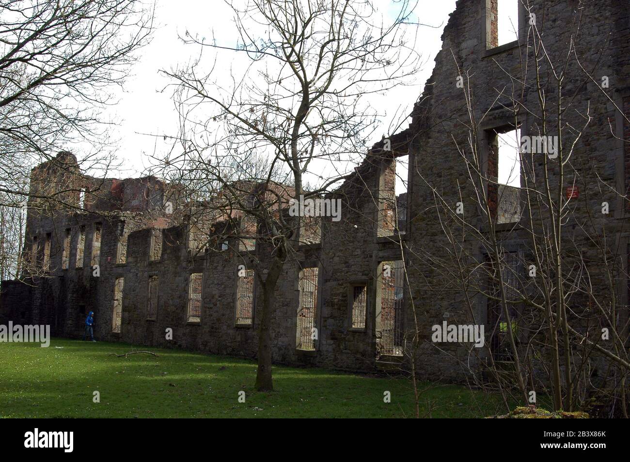 Ruins of Curwen Hall, Workington Hall in Cumbria. England. Young not ...