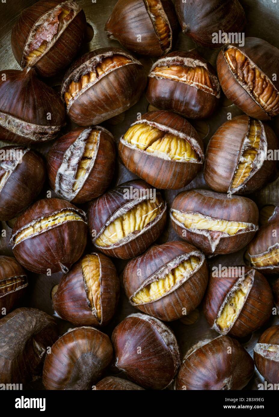 Selective focus shot chestnuts hi-res stock photography and images - Alamy
