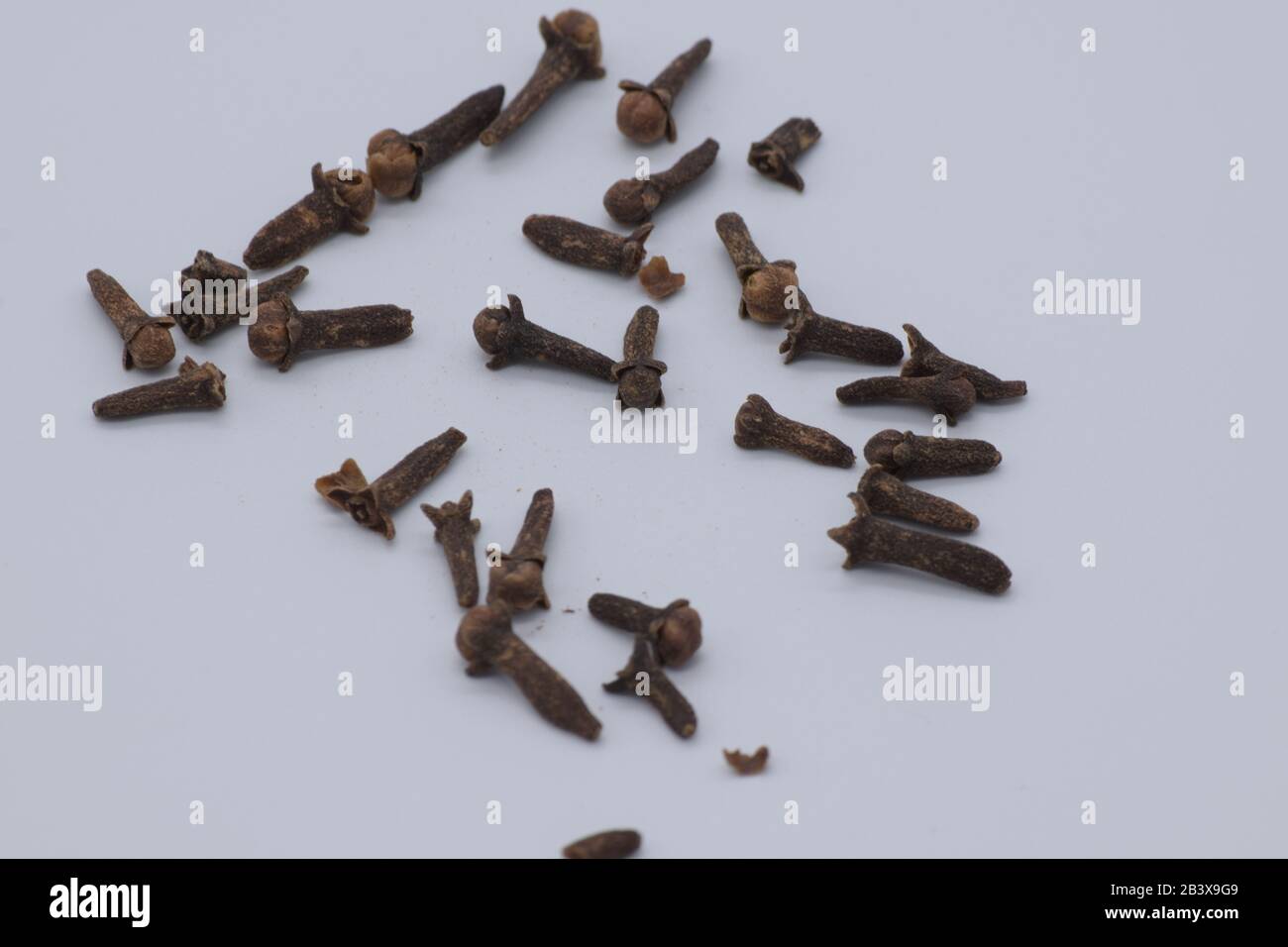 Close Up Of Dried Cloves Against White Background Stock Photo - Alamy