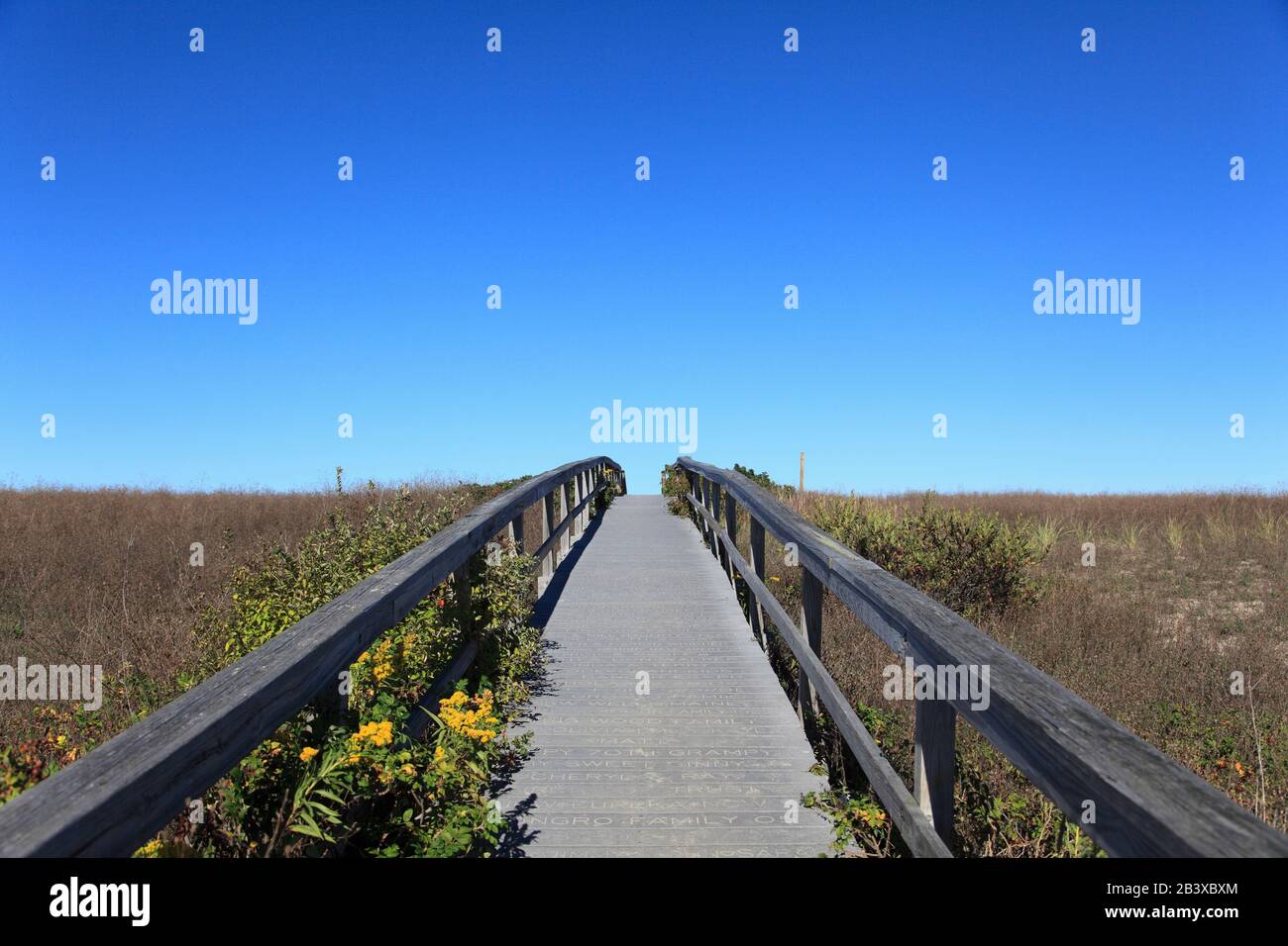 Boardwalk leading to Town Neck Beach, Cape Cod Bay, Sandwich, Cape Cod ...