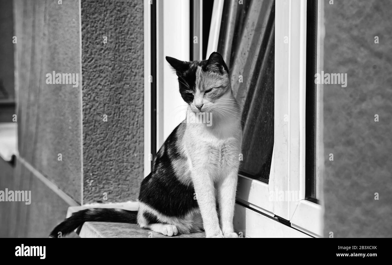 Outdoor abuse Black and White Stock Photos & Images - Alamy